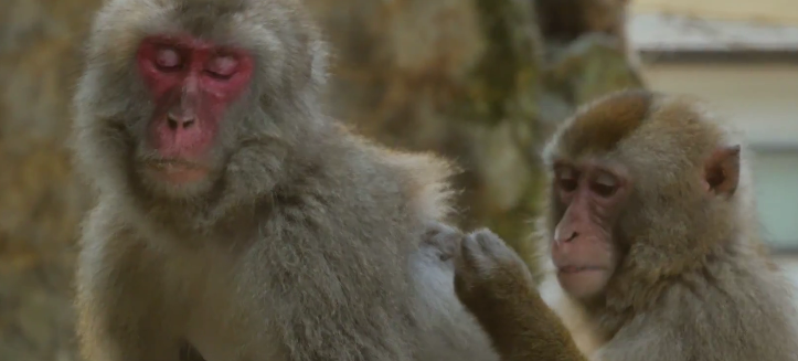 %e3%82%ad%e3%83%a3%e3%83%97%e3%83%81%e3%83%a3 – 九州TV