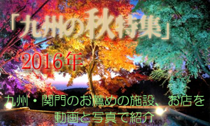 s2016%e5%b9%b4%e3%80%8c%e4%b9%9d%e5%b7%9e%e3%81%ae%e7%a7%8b%e7%89%b9%e9 ...