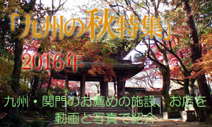 s2016%e5%b9%b4%e3%80%8c%e4%b9%9d%e5%b7%9e%e3%81%ae%e7%a7%8b%e7%89%b9%e9 ...