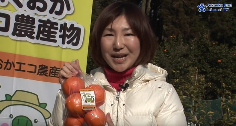 %e3%82%ad%e3%83%a3%e3%83%97%e3%83%81%e3%83%a3 – 九州TV